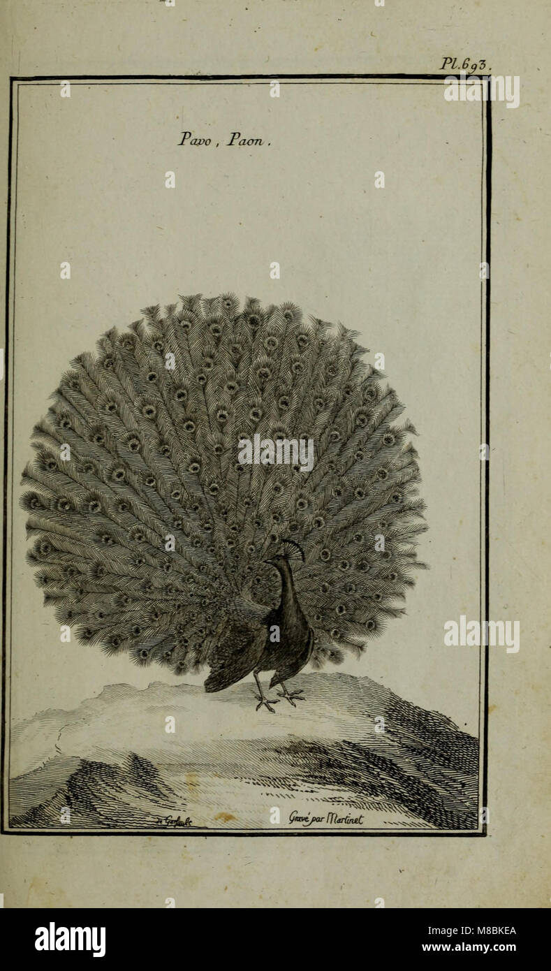Trente neuf hi-res stock photography and images - Alamy