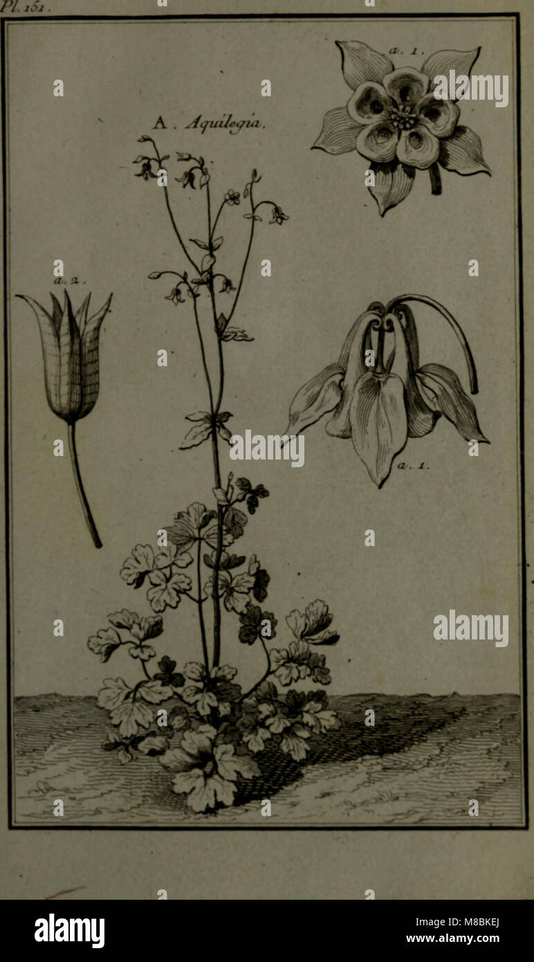 This 18th-century work describes the virtues and uses of 719 plants ...