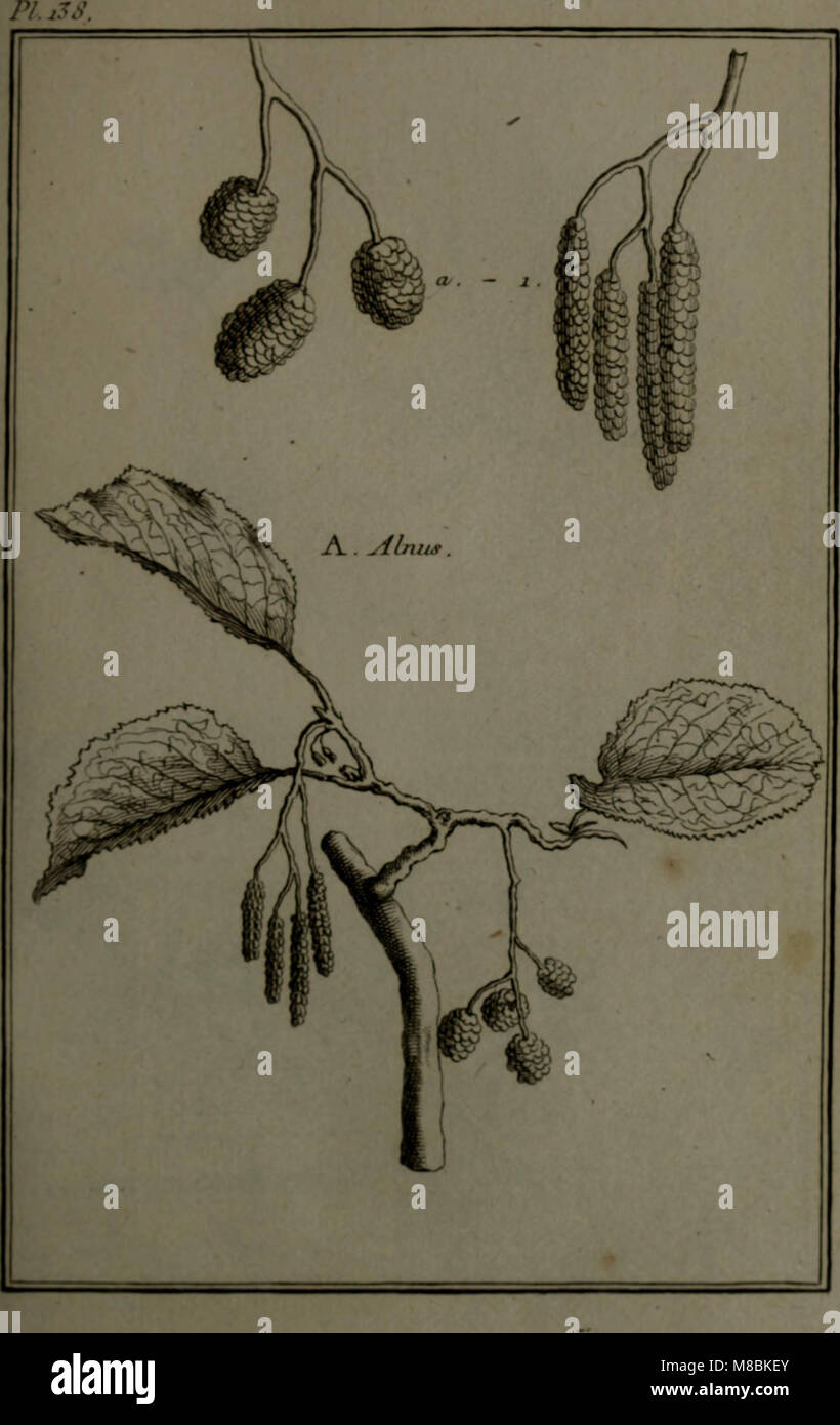 Trente sept hi-res stock photography and images - Alamy