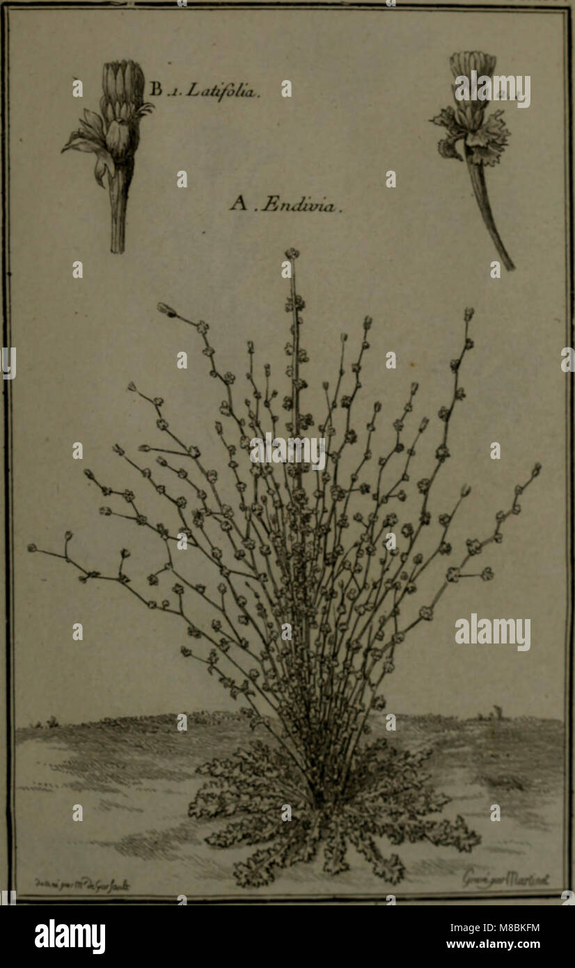 Trente sept hi-res stock photography and images - Alamy