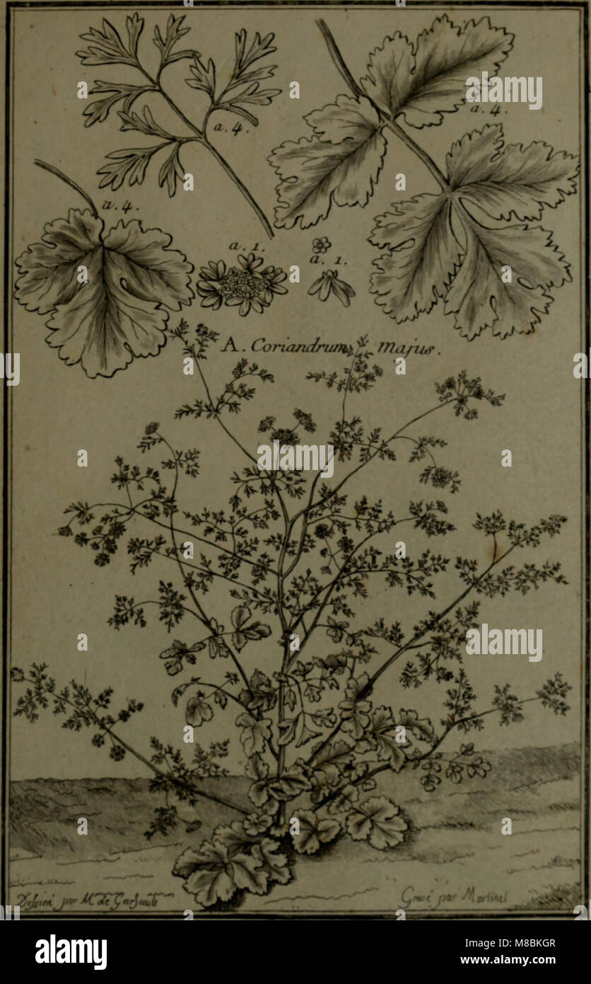 This 18th-century work describes 719 plants and 134 animals, detailing ...