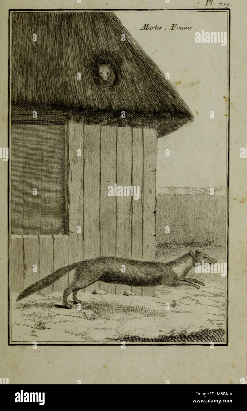 Trente sept hi-res stock photography and images - Alamy