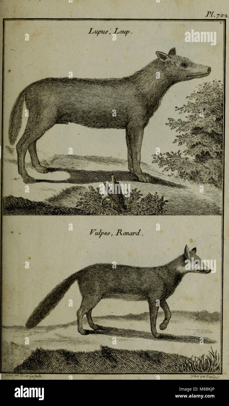 Trente sept hi-res stock photography and images - Alamy