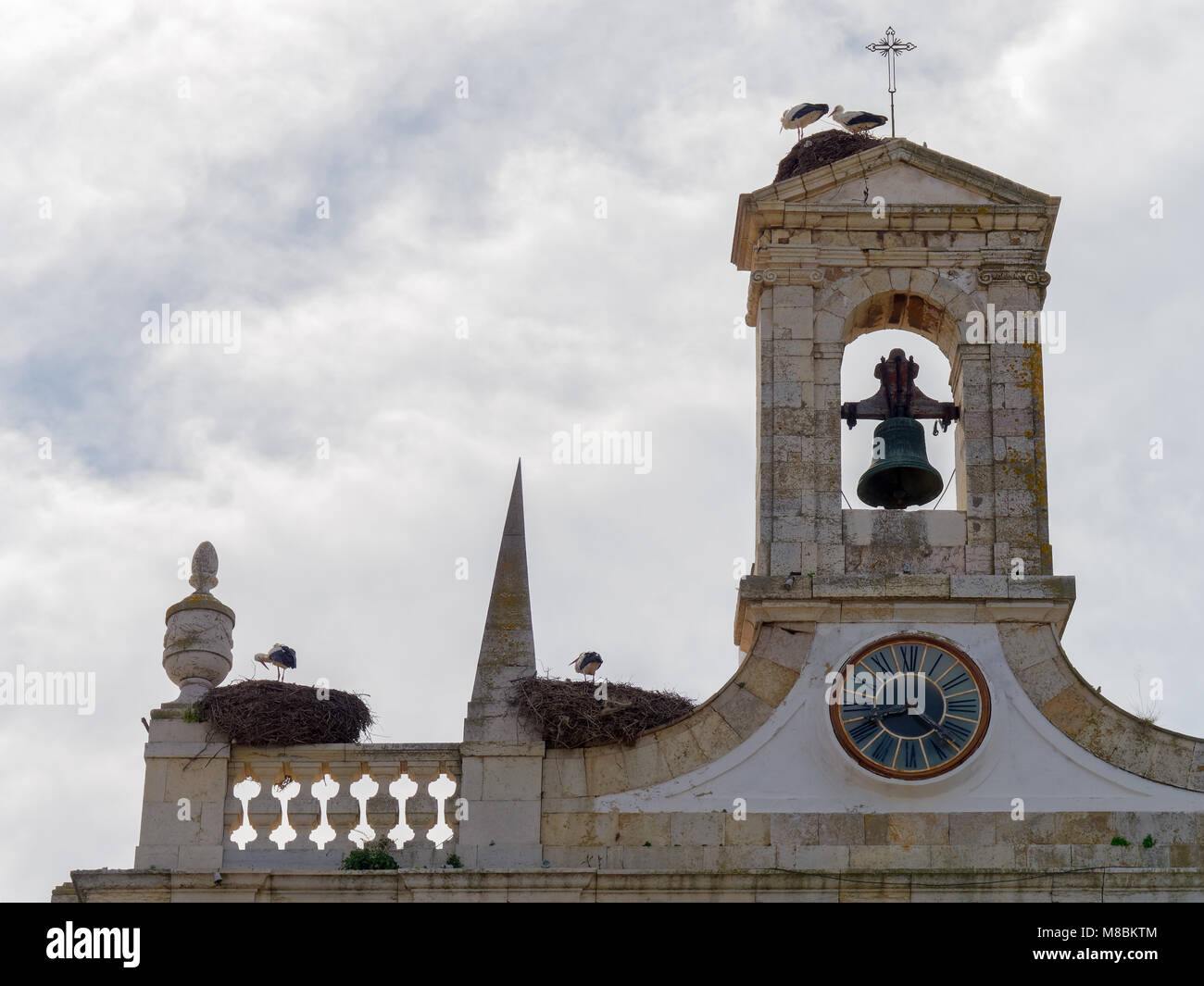 FARO, SOUTHERN ALGARVE/PORTUGAL - MARCH 7 : Storks at Faro in Portugal ...