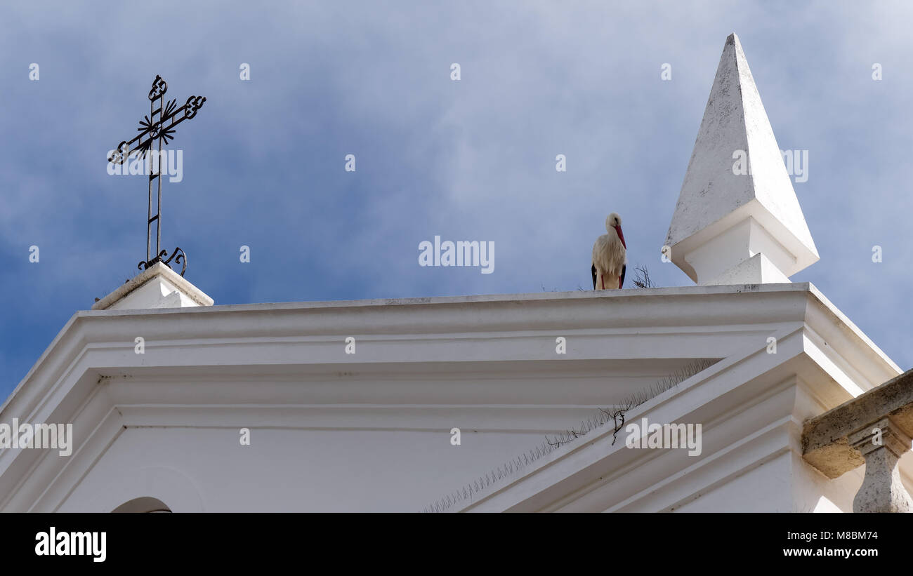 FARO, SOUTHERN ALGARVE/PORTUGAL - MARCH 7 : Storks at Faro in Portugal ...