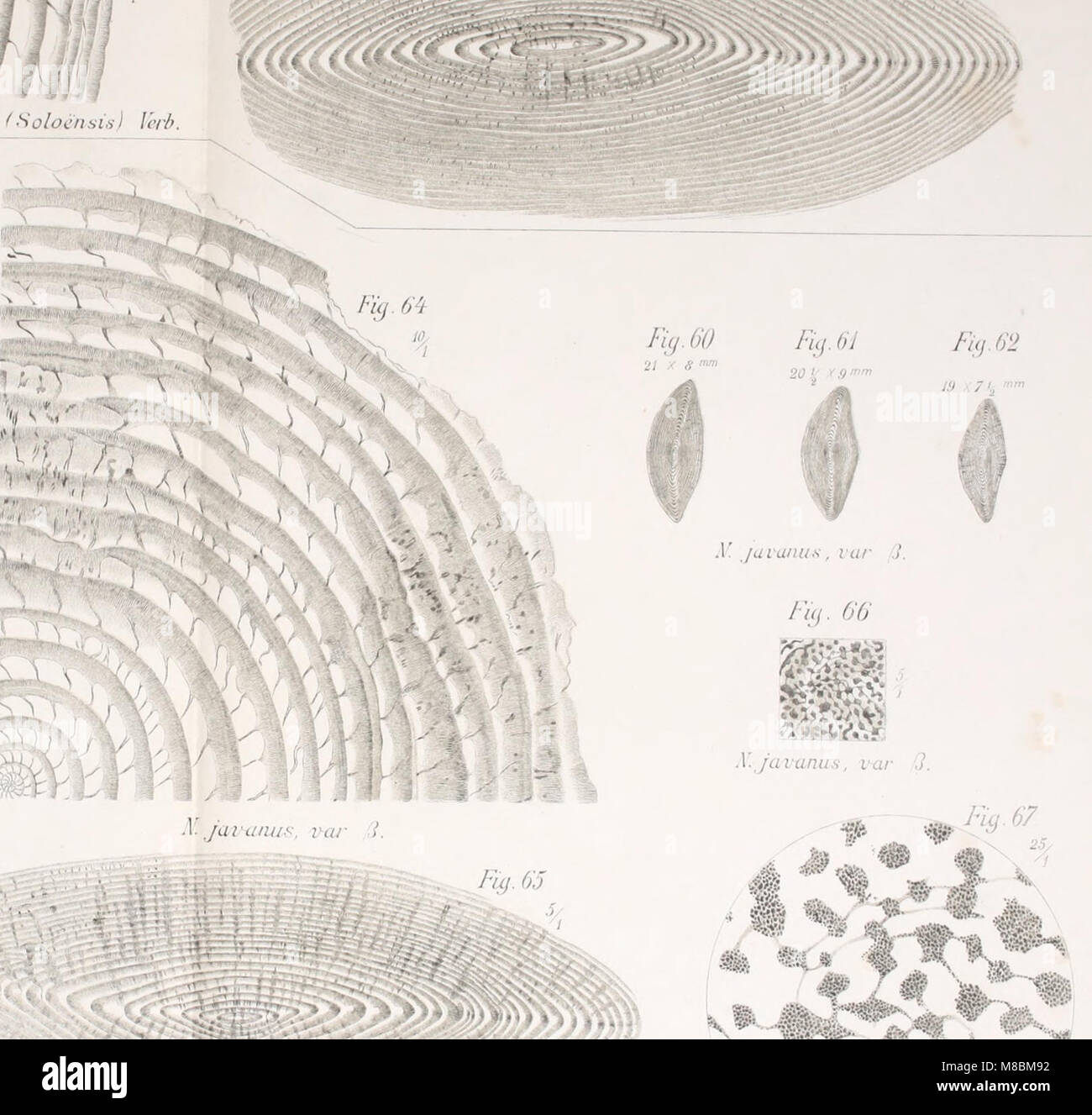 This 1896 geological description focuses on the geological features of ...