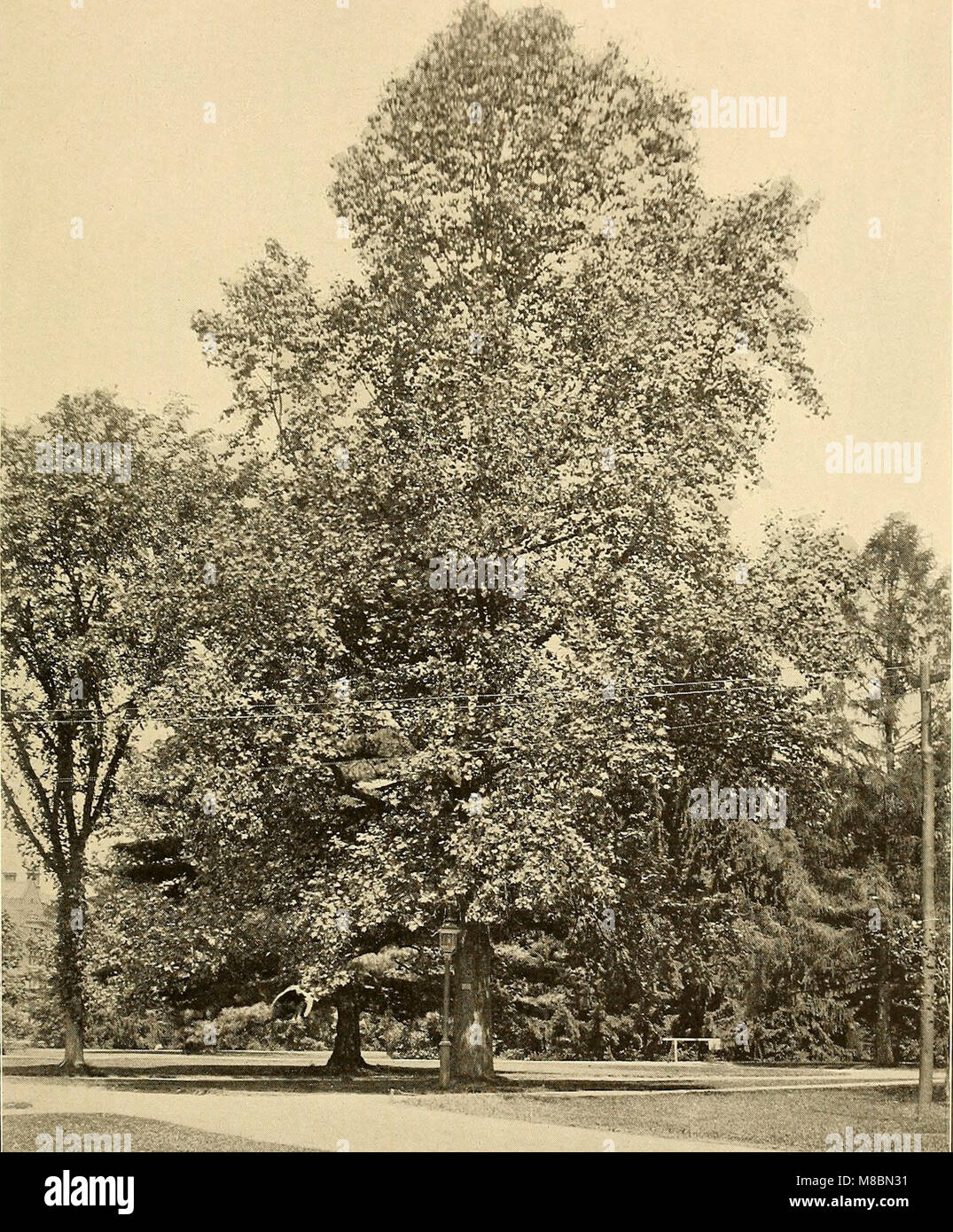 This 1909 guide provides descriptions of the grounds, buildings, and ...