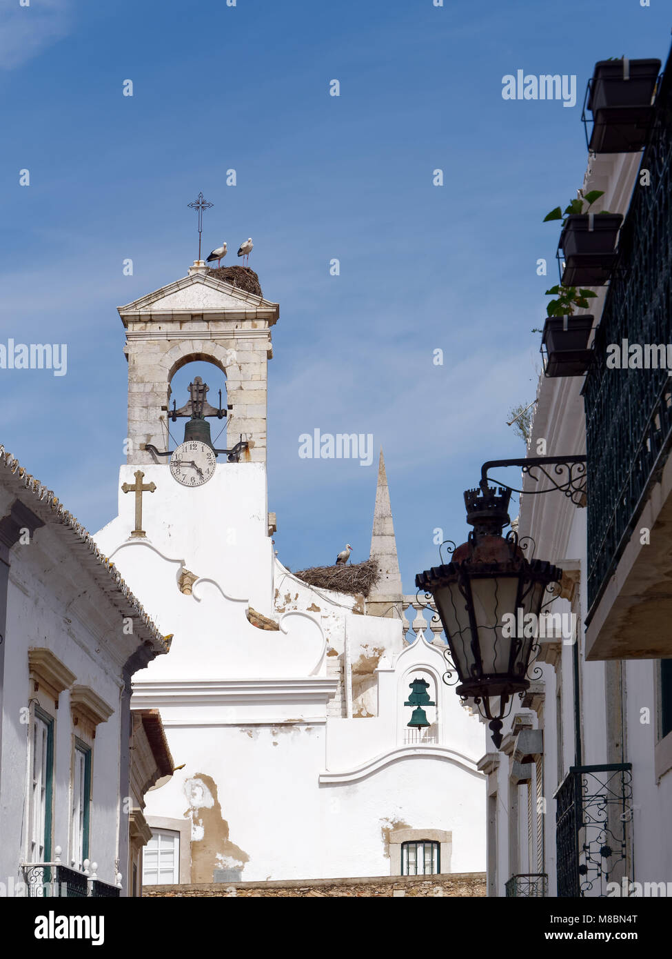 FARO, SOUTHERN ALGARVE/PORTUGAL - MARCH 7 : Storks at Faro in Portugal ...