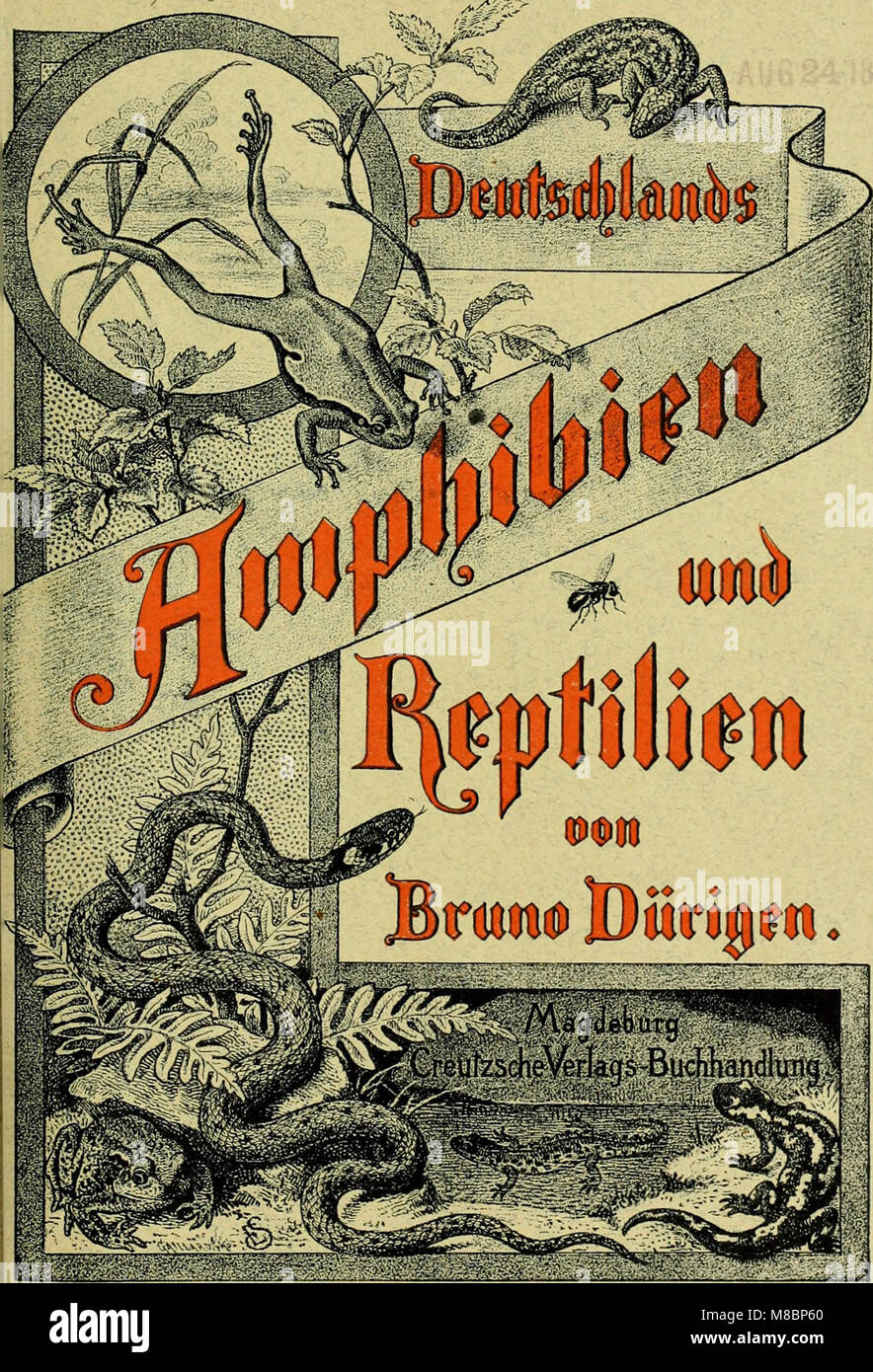 'Deutschlands Amphibien und Reptilien' (1890) is a detailed work ...