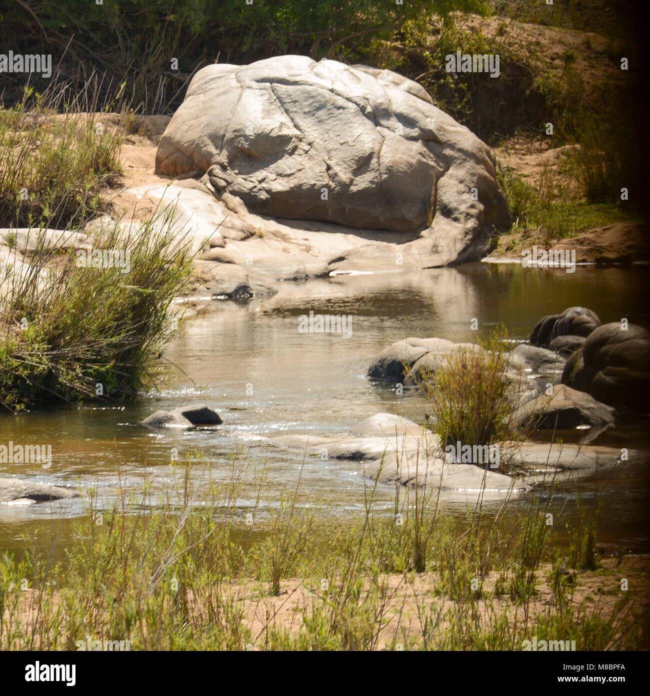 small water spring with big rock Stock Photo - Alamy
