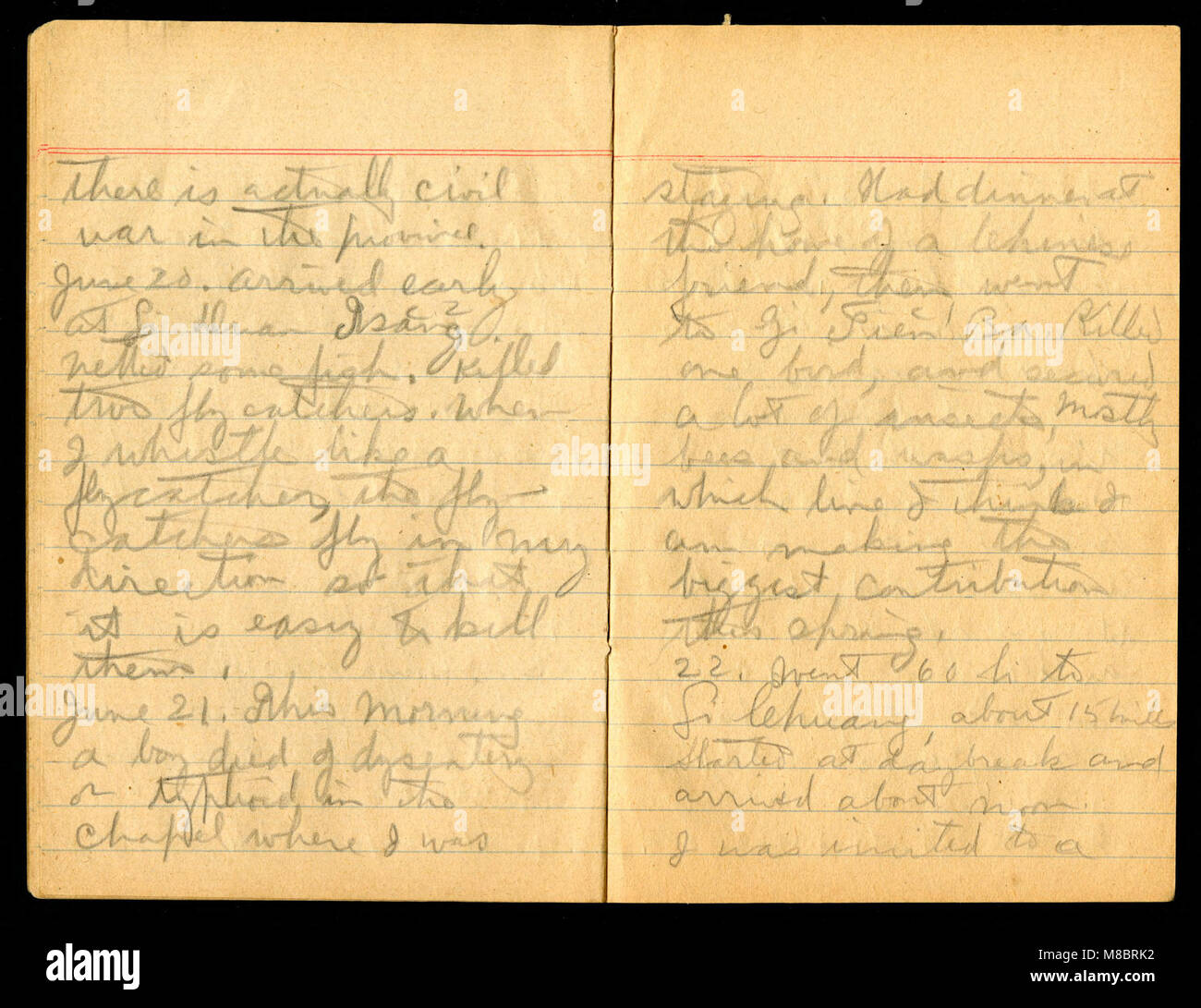 This is the third volume of a personal diary covering the period from ...