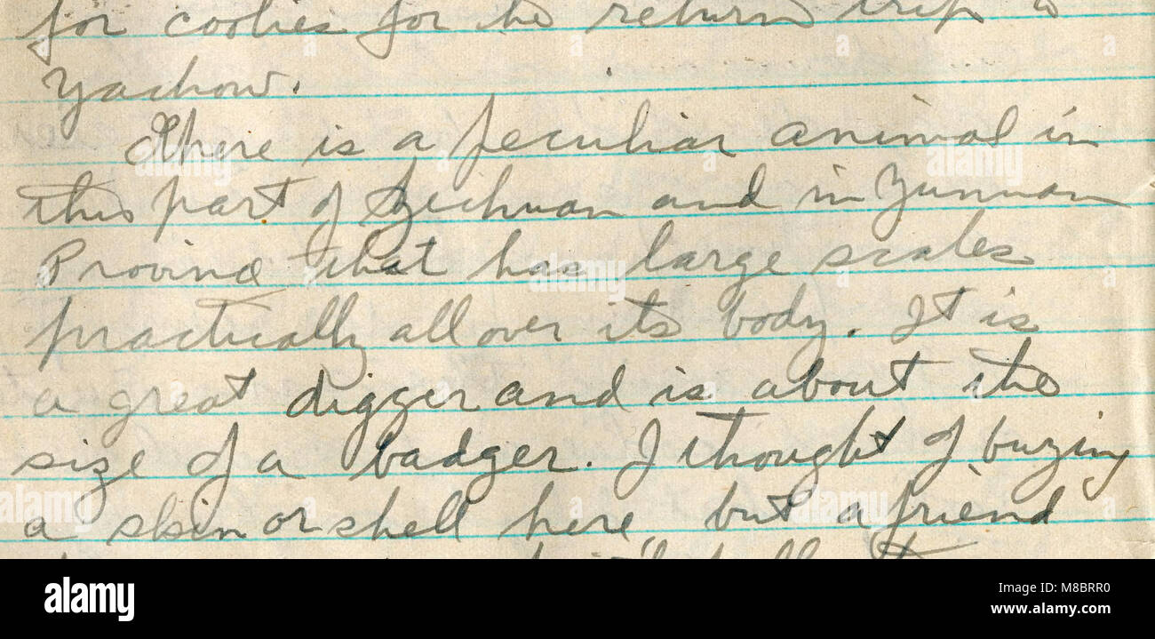 This diary documents a summer expedition in 1928 to Ningyuenfu ...