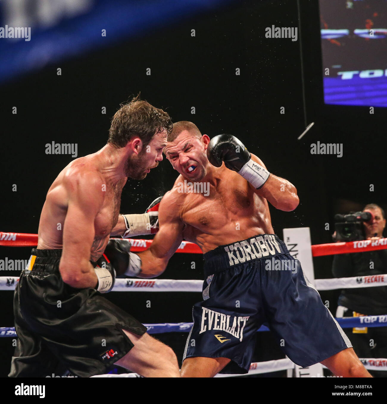 Andy lee boxer hi-res stock photography and images - Alamy