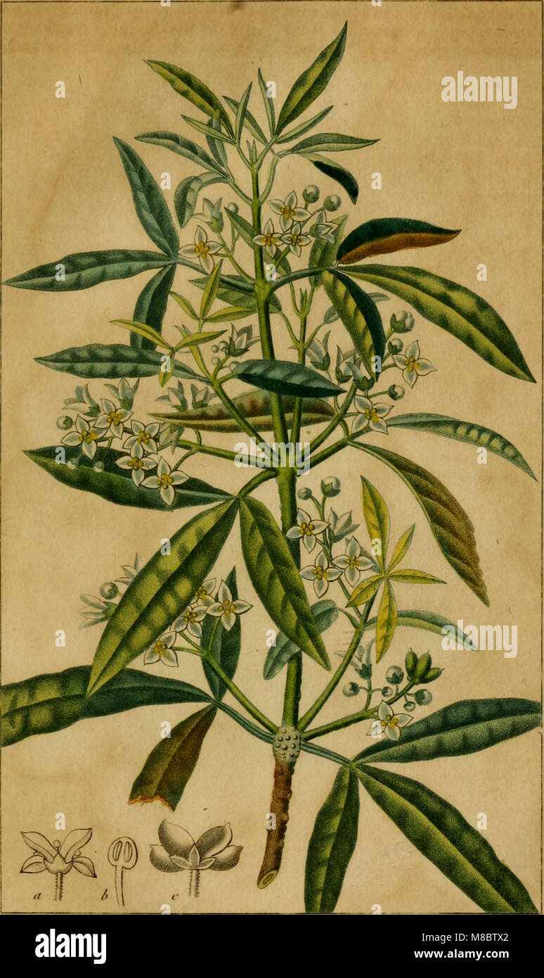 'Dictionnaire classique d'histoire naturelle' (1822) is a dictionary of ...