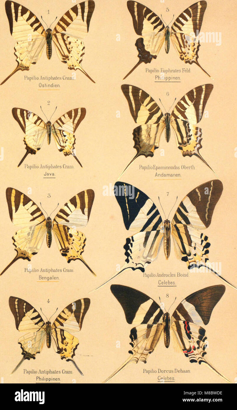 This 1889 work focuses on the classification, variations, and ...