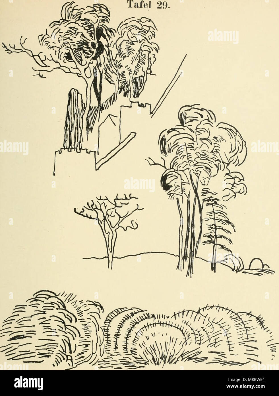 This 1910 work examines tree drawings in German 15th and 16th-century ...