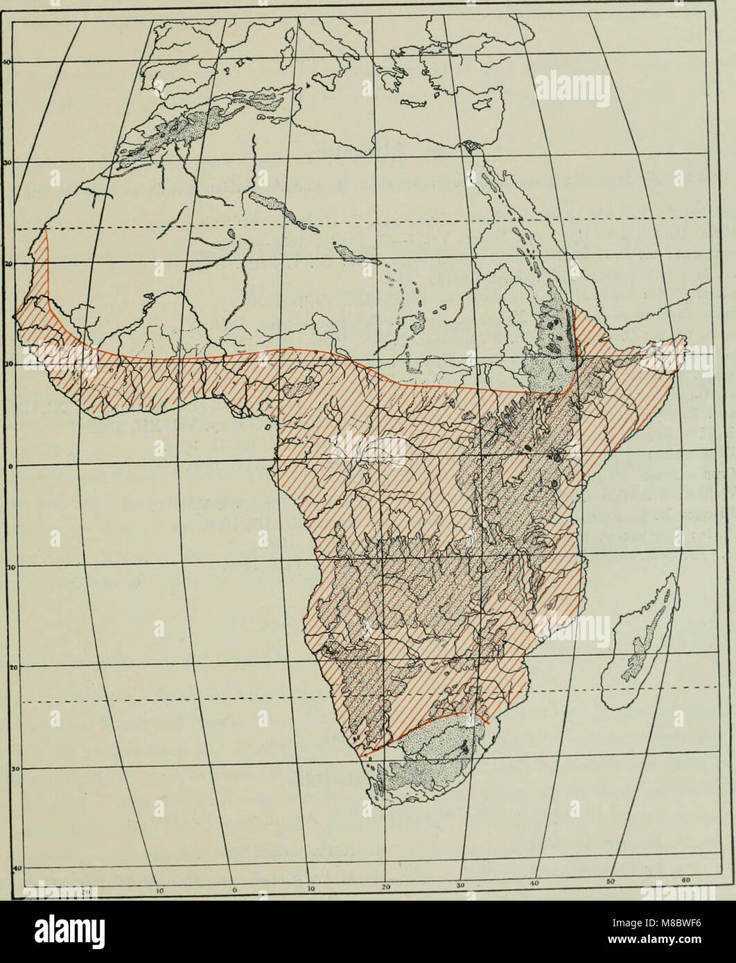 This 1909 work, *Die Bienen Afrikas nach dem Stande unserer heutigen ...