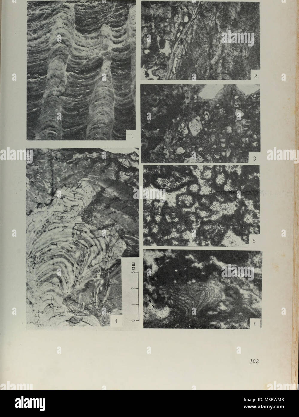 Guo hua hi-res stock photography and images - Alamy