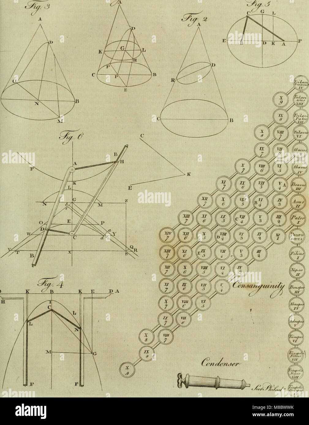 This encyclopaedia is a comprehensive dictionary of arts, sciences, and ...
