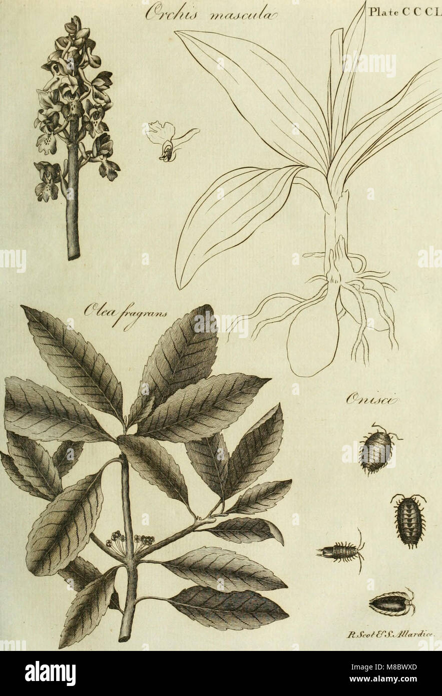 This encyclopaedia provides a structured compilation of knowledge ...