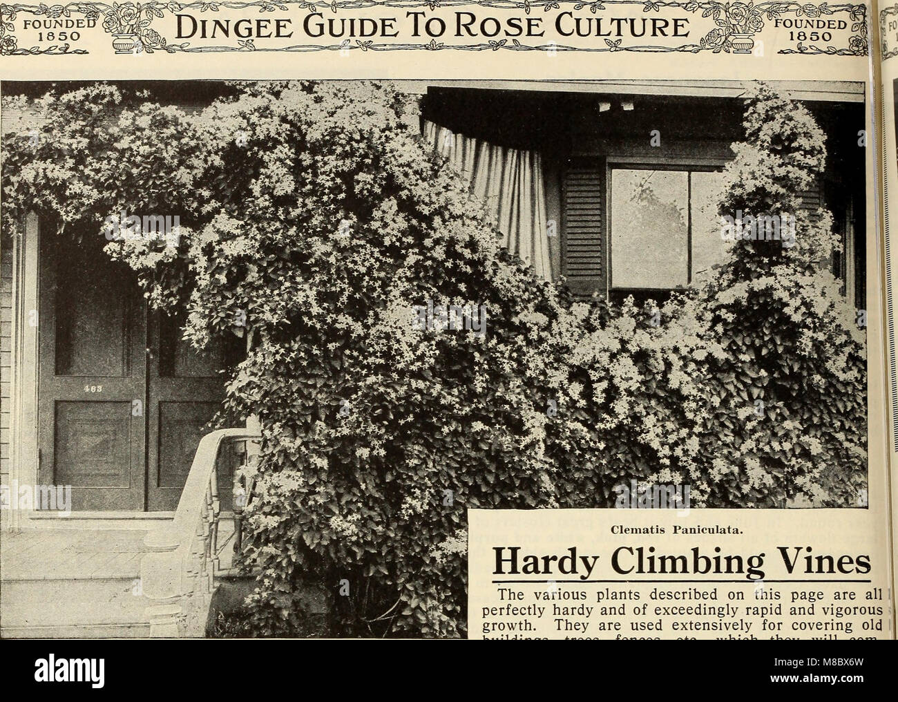 The Dingee Guide to Rose Culture, published in 1916, provides ...