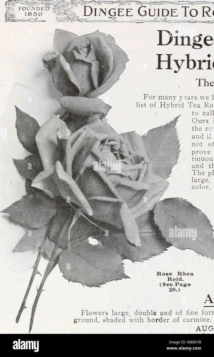 The 1920 Dingee Guide to Rose Culture offers comprehensive instructions ...