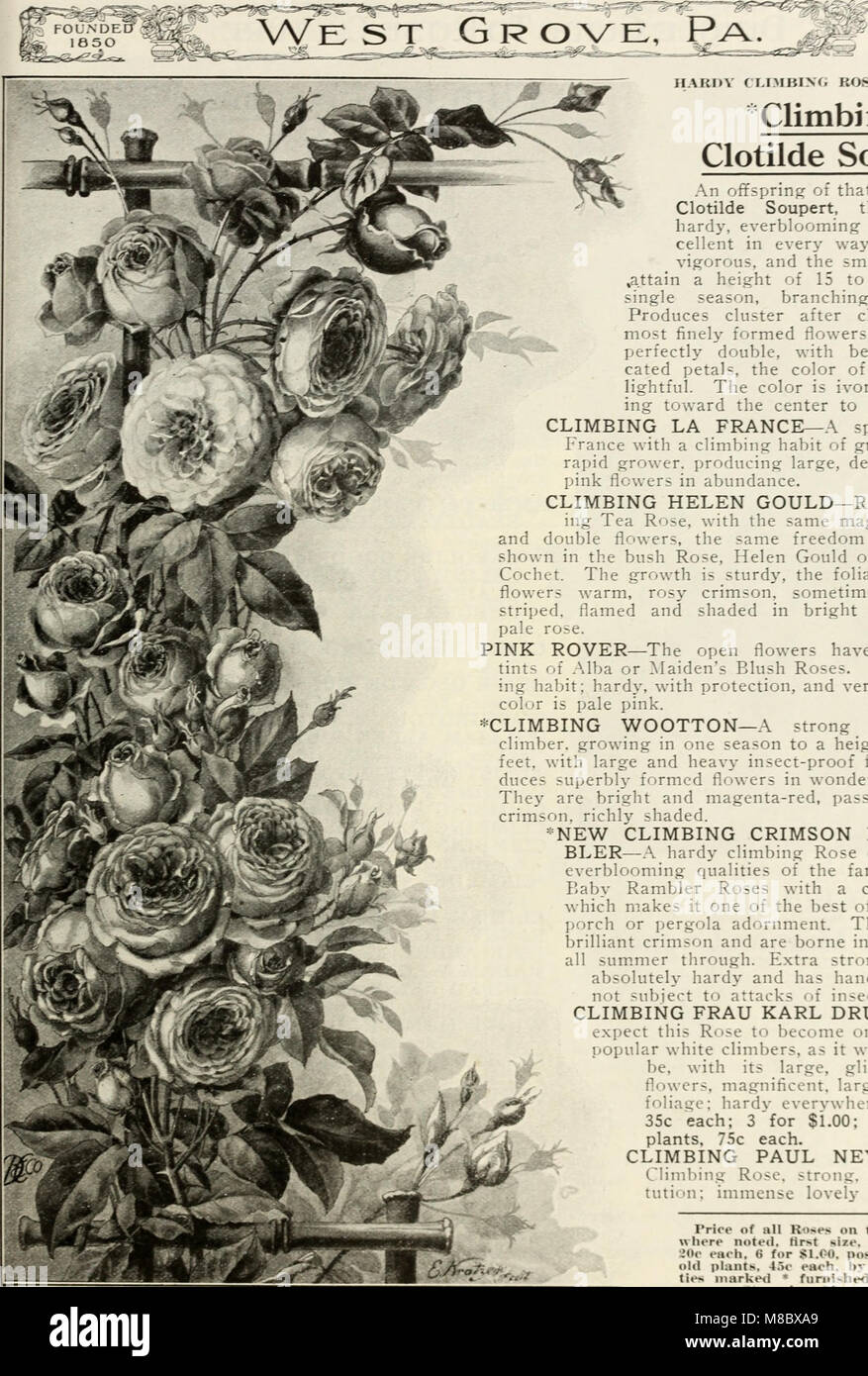 The *Dingee Guide to Rose Culture* (1918) is a comprehensive resource ...