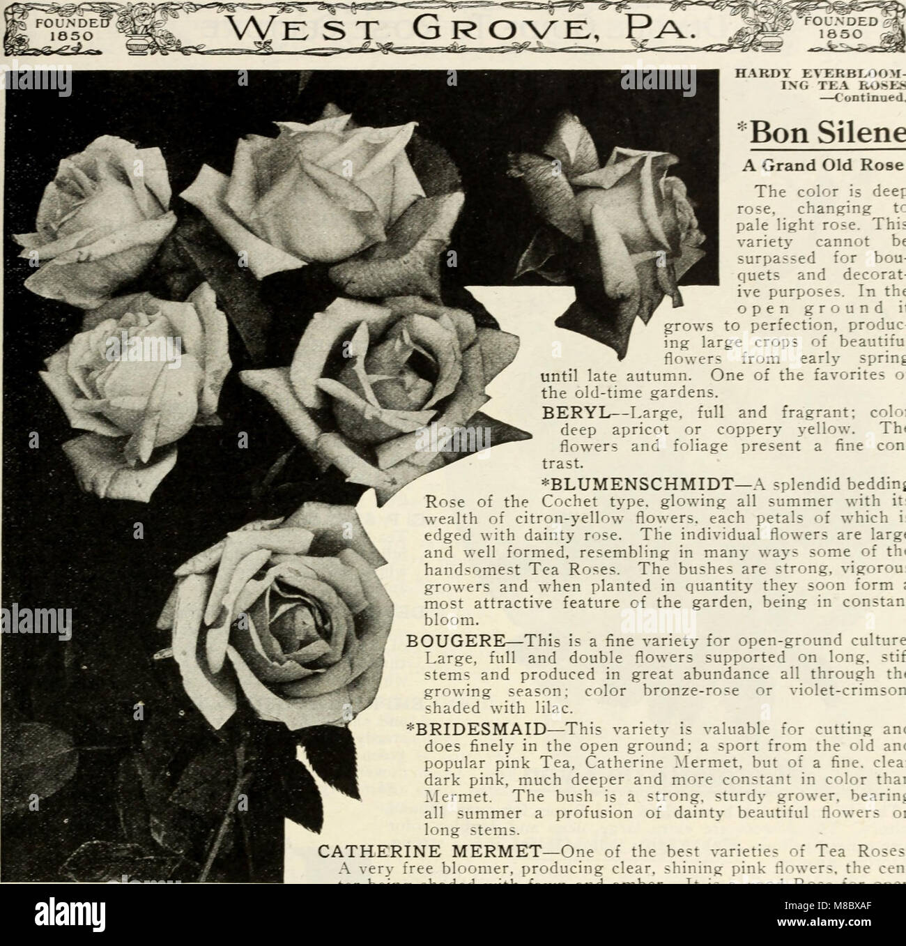The 1918 'Dingee Guide to Rose Culture' is a comprehensive resource on ...