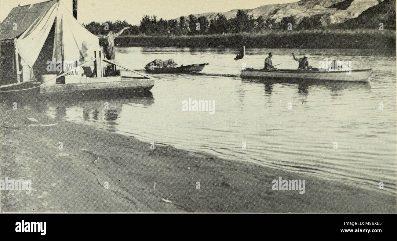 *Dinosaur Hunting in Western Canada* (1966) recounts fossil hunting ...