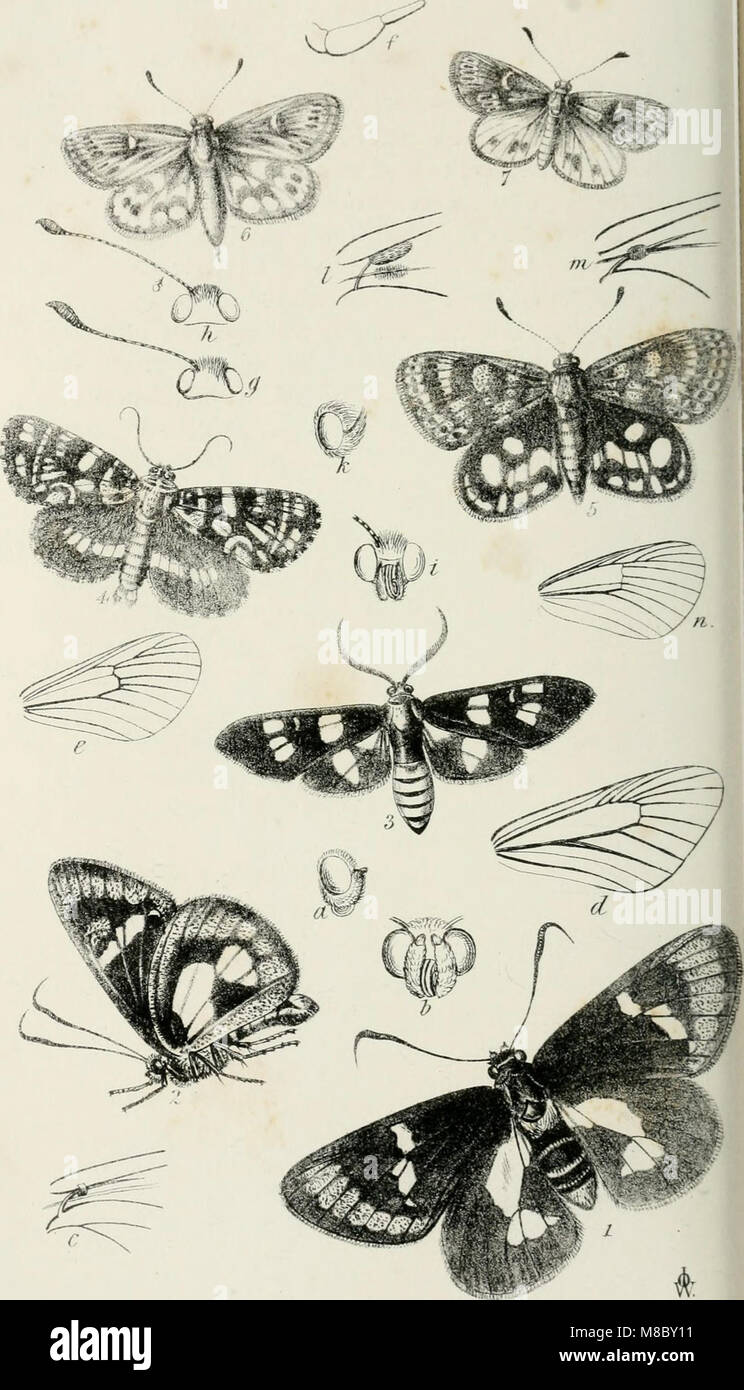 This 1846 work documents the scientific and geographical discoveries ...