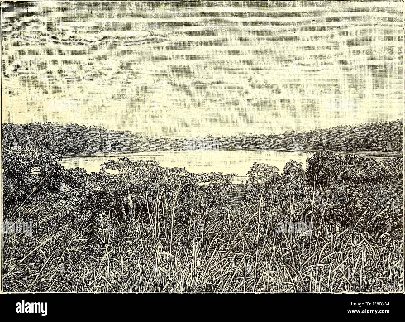 Discovery of lakes Rudolf and Stefanie; a narrative of Count Samuel ...