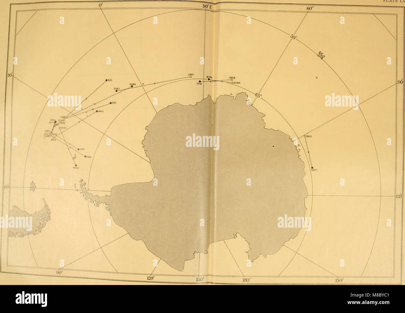 The 'Discovery Reports' from 1940 include scientific studies from ...