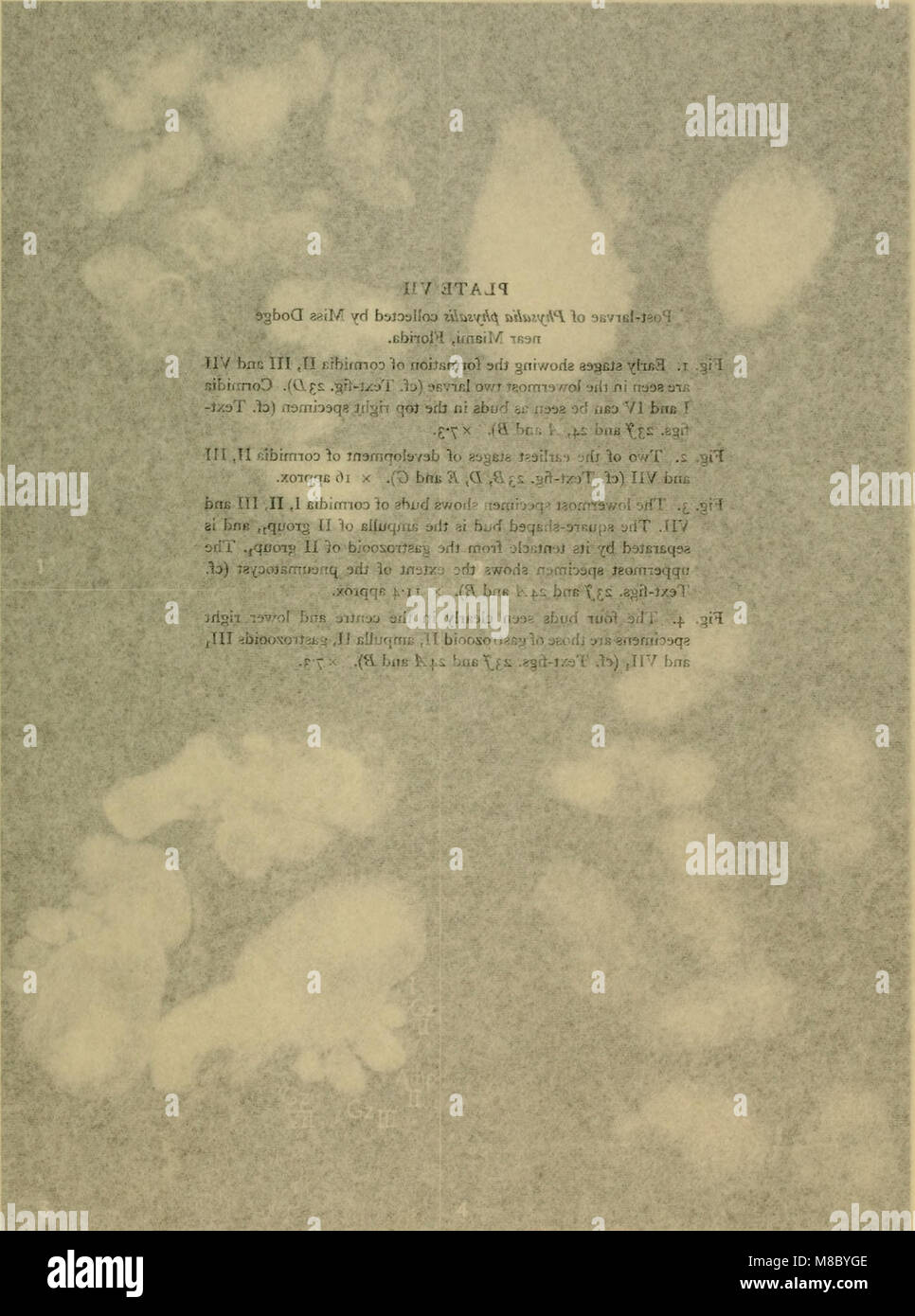 The 1962 Discovery Reports include scientific research and findings ...