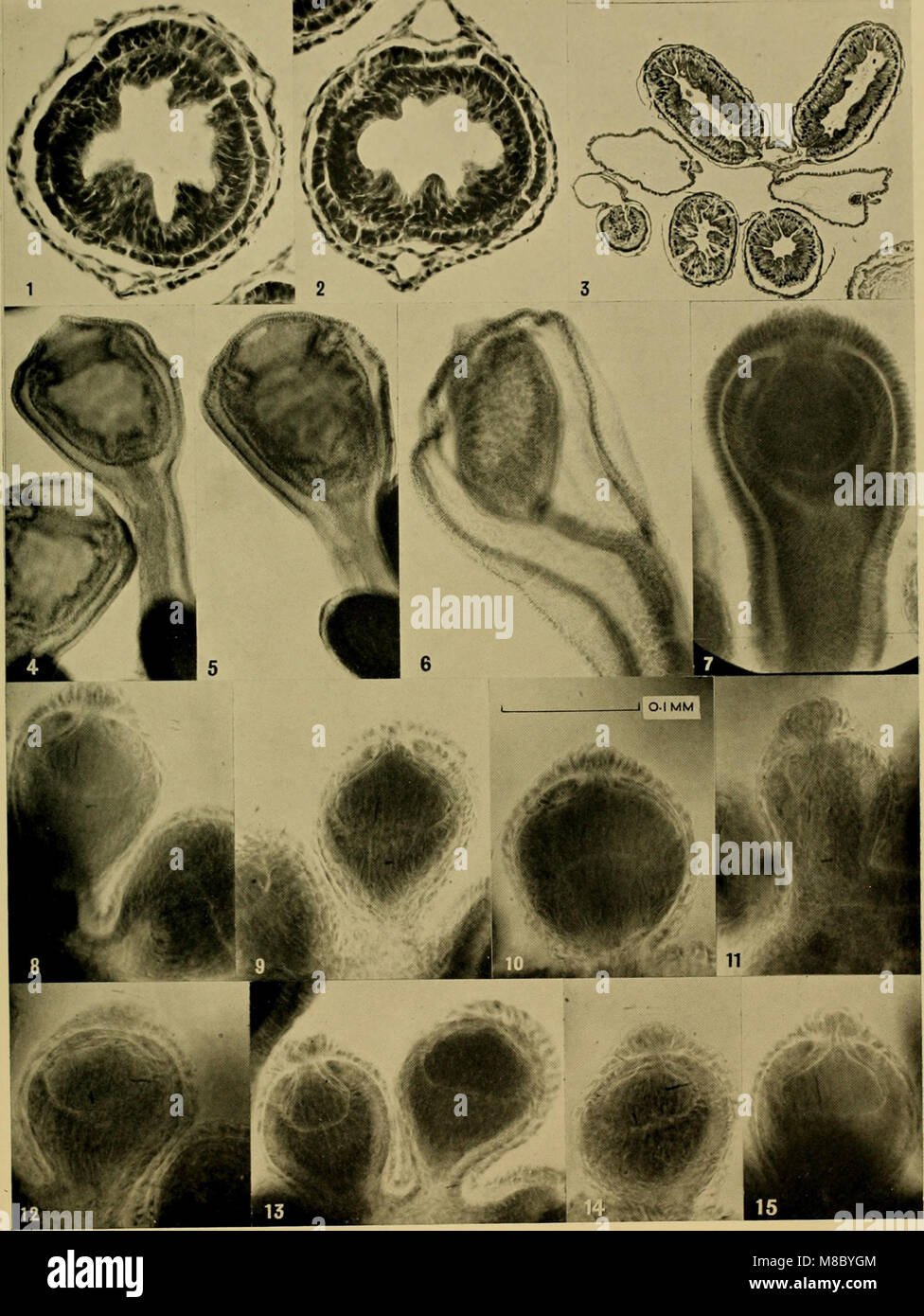 The 1962 Discovery Reports provide detailed accounts of scientific ...