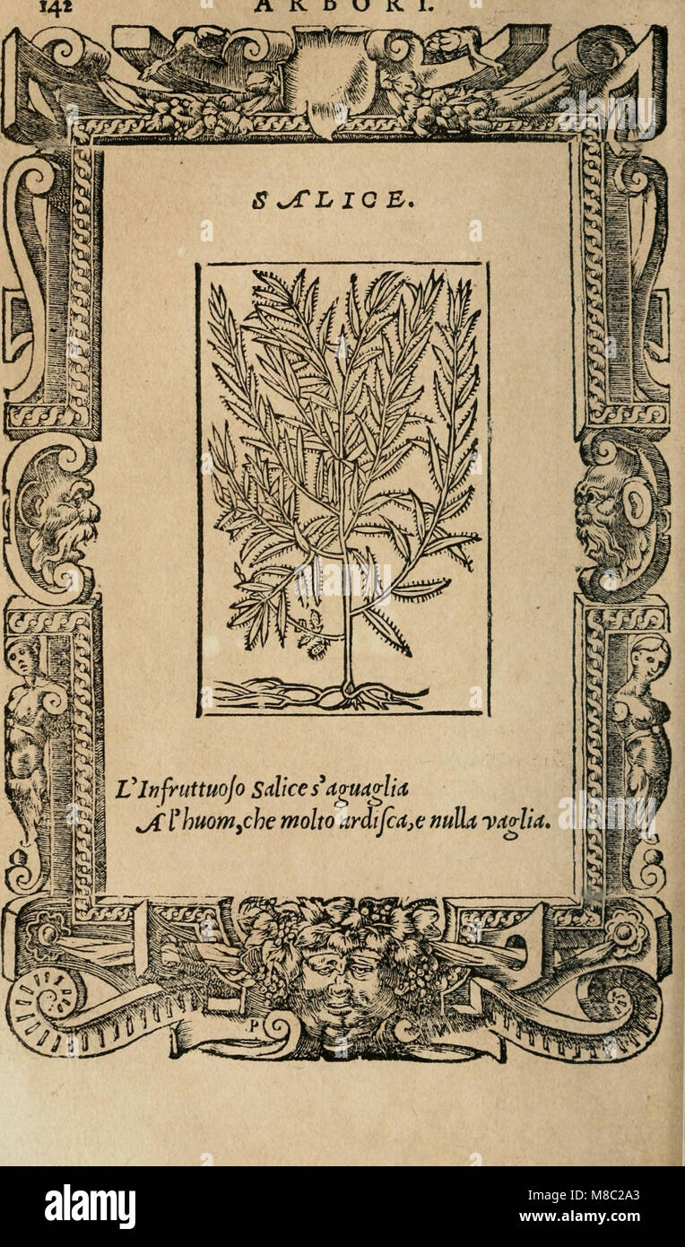 A 1549 Italian work from the 'Emblemi dell'Alciato,' showcasing diverse ...