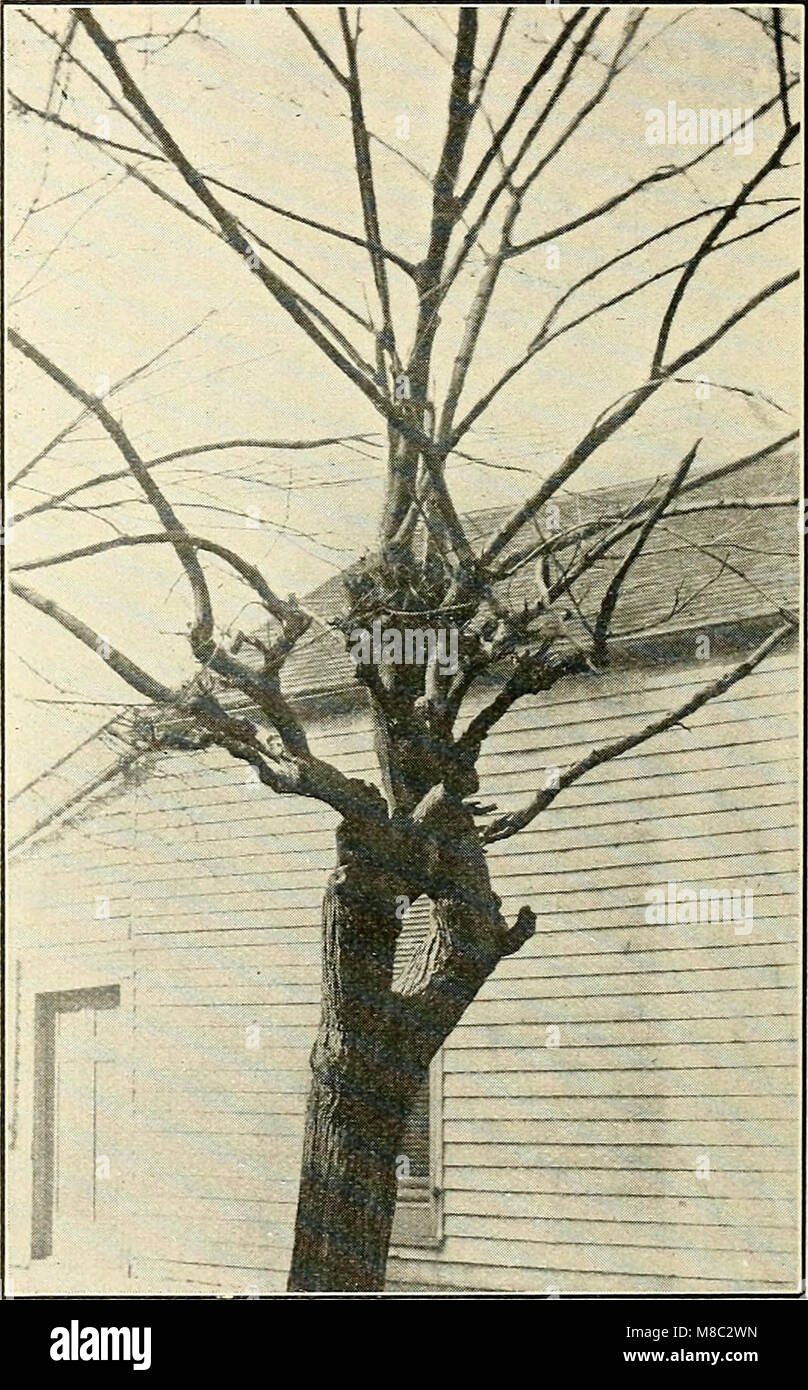 Indiana 1905 hi-res stock photography and images - Alamy