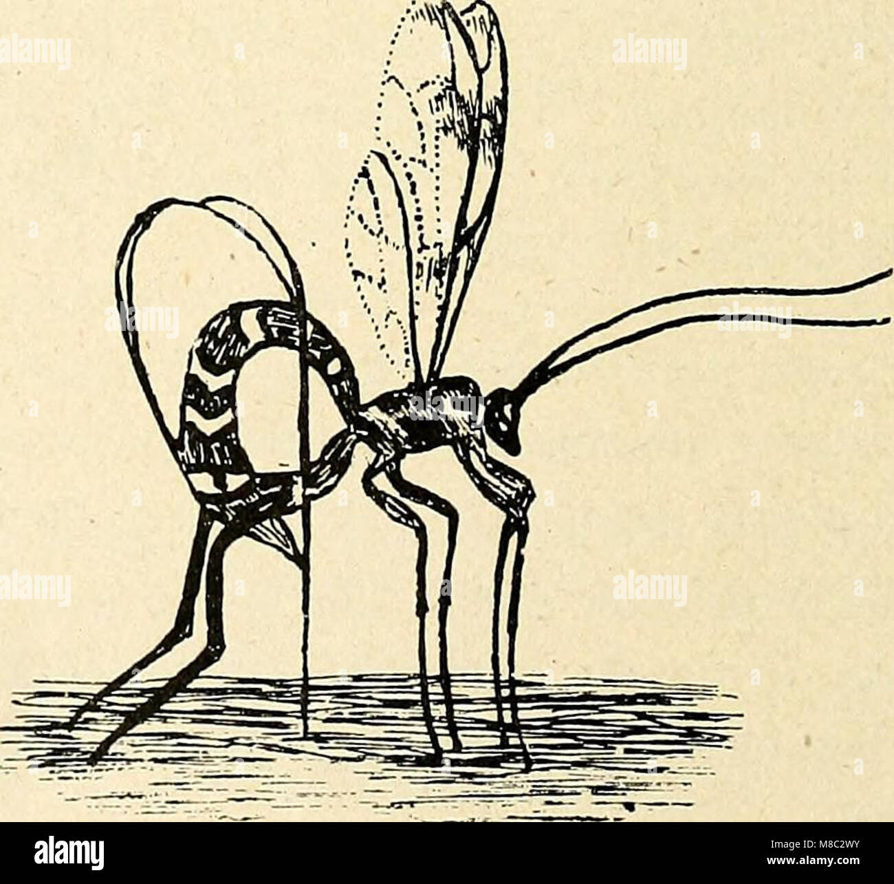 The *Documentary Journal of Indiana* (1905) offers a detailed record of ...