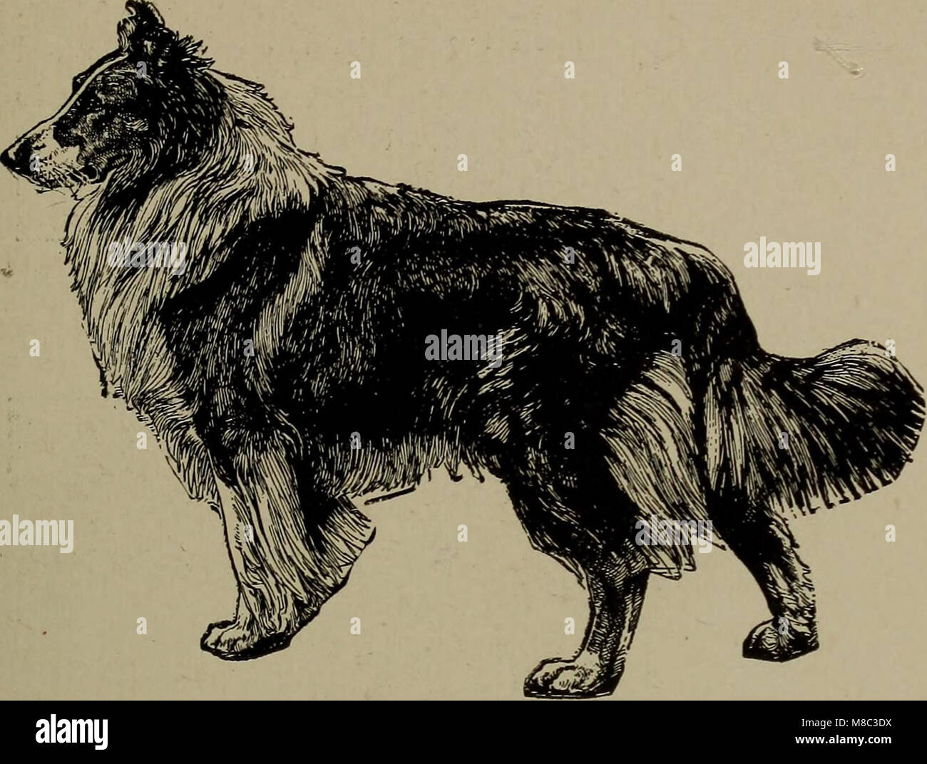 This 1903 work features a collection of prose and poetry about various ...