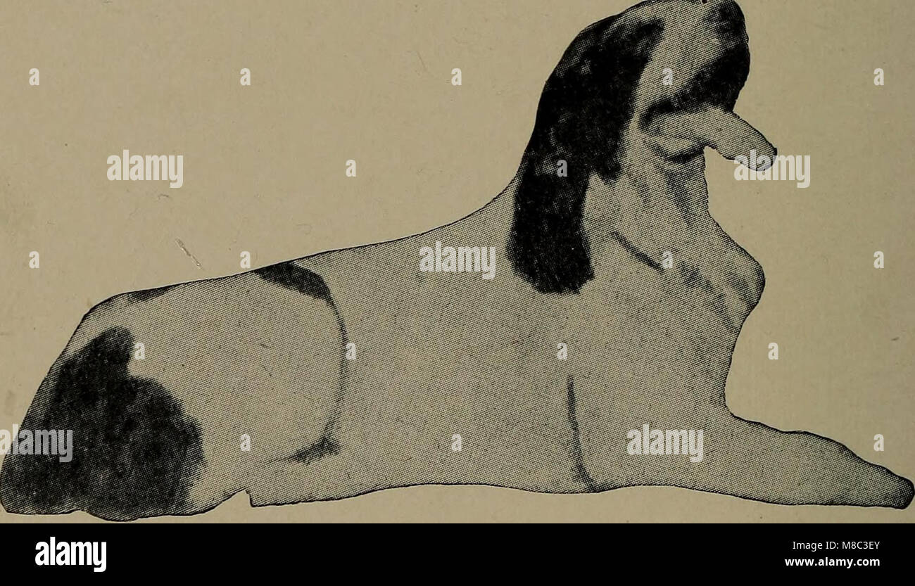 Published in 1903, 'Dogs of All Nations' explores different dog breeds ...