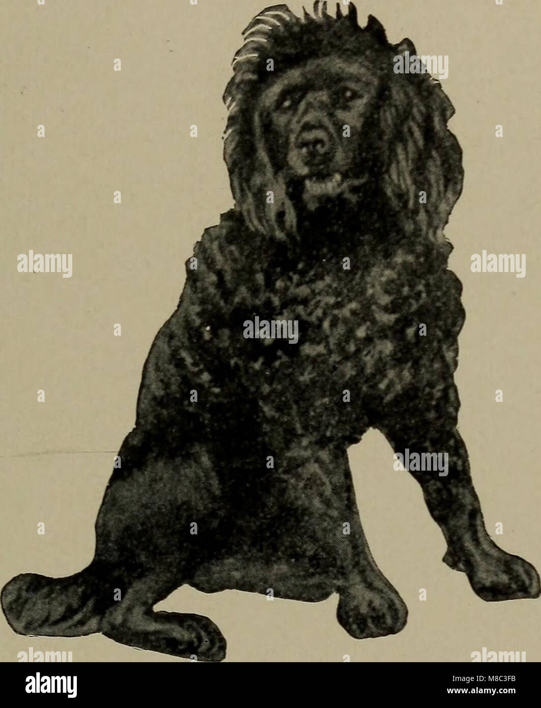 This 1903 work features descriptions of different dog breeds from ...
