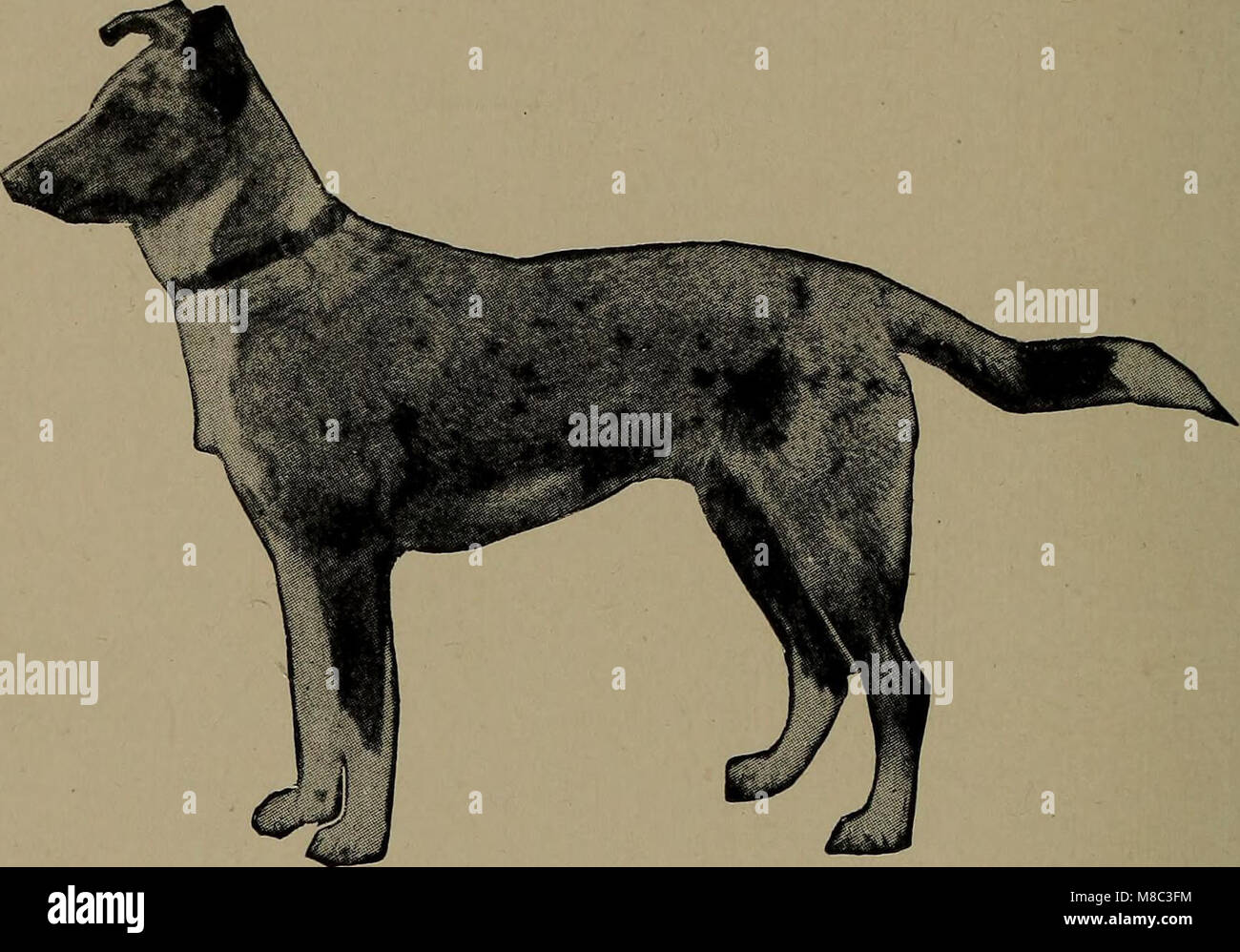Dogs of All Nations (1903) is a collection of prose and verse that ...
