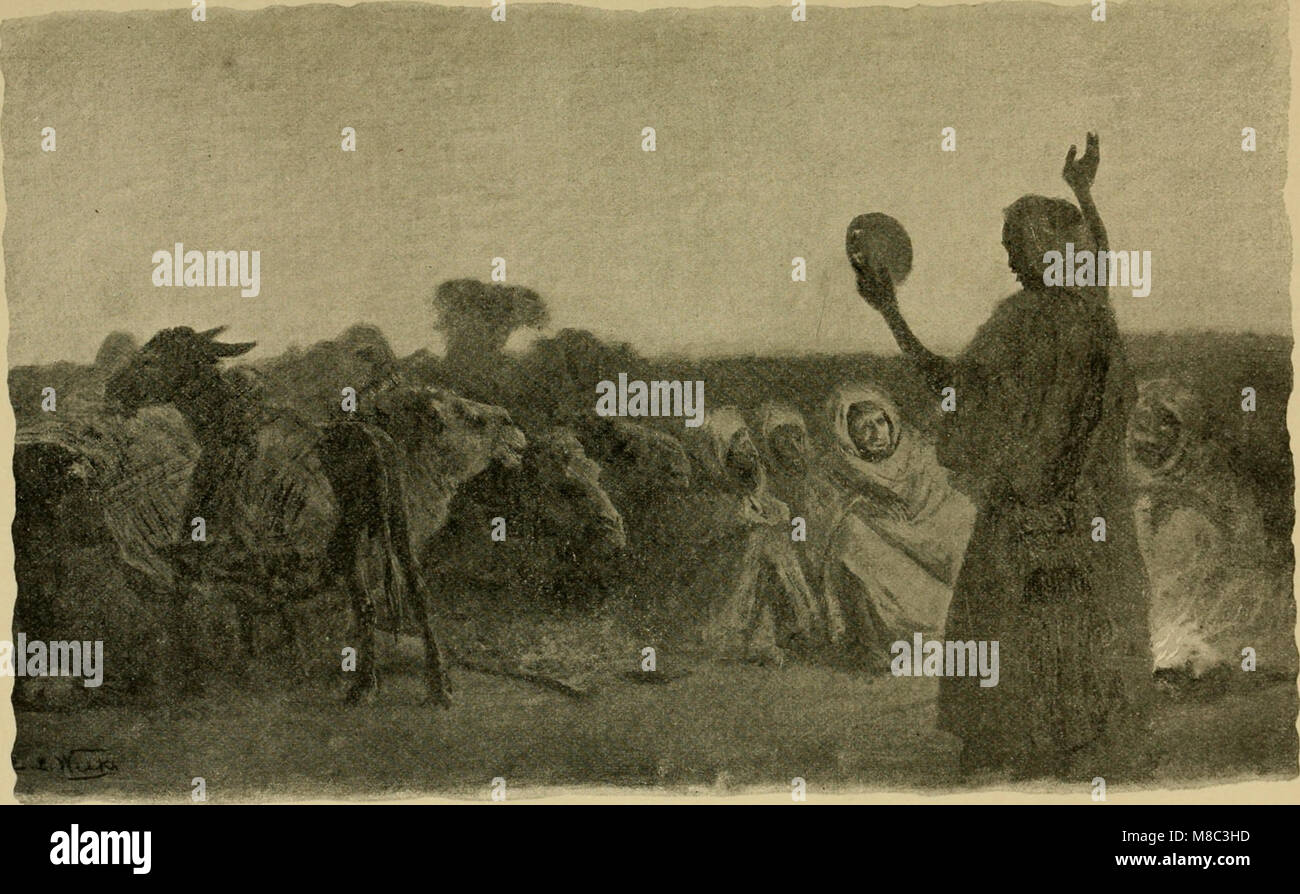 Domesticated animals, their relation to man and to his advancement in ...