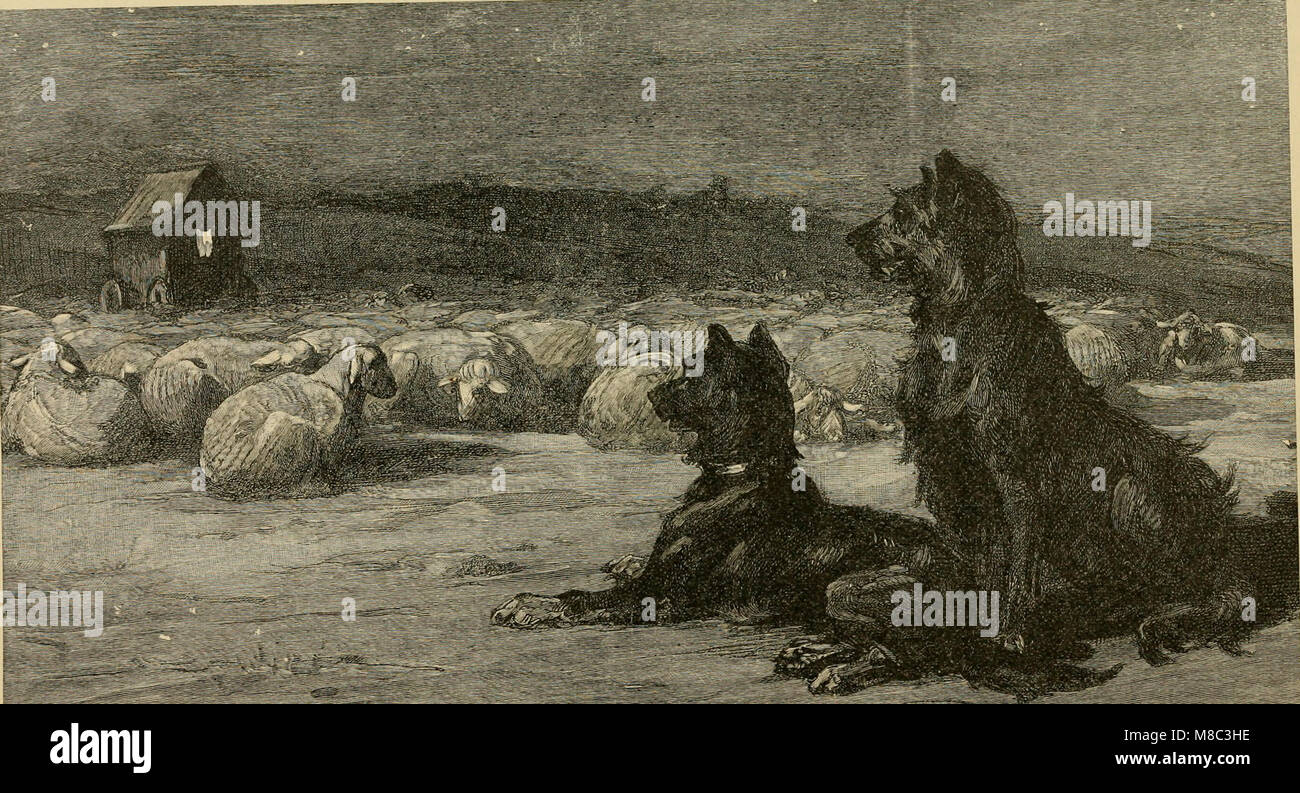 This work from 1895 explores the role of domesticated animals in human ...