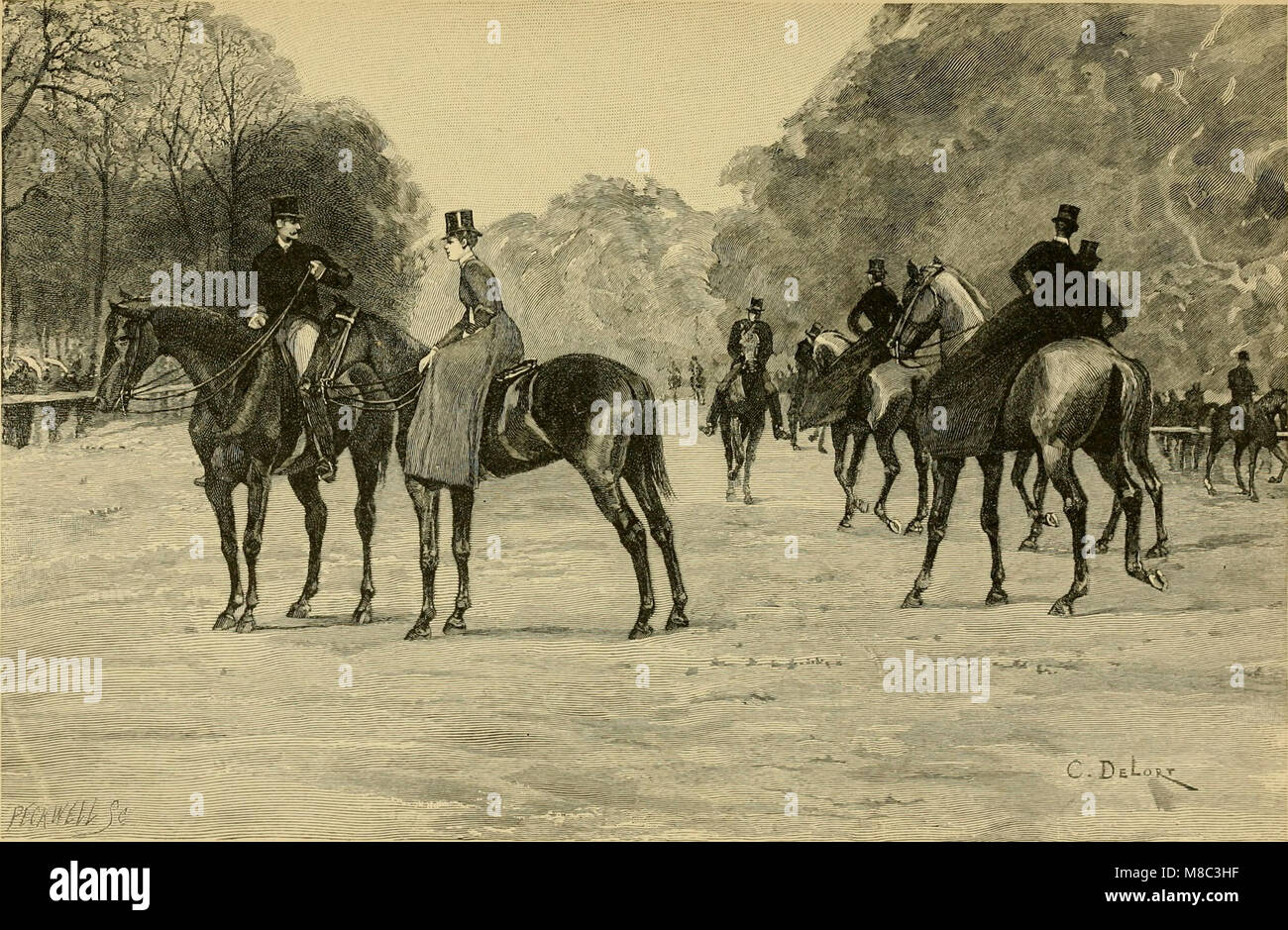 Domesticated animals - their relation to man and to his advancement in ...