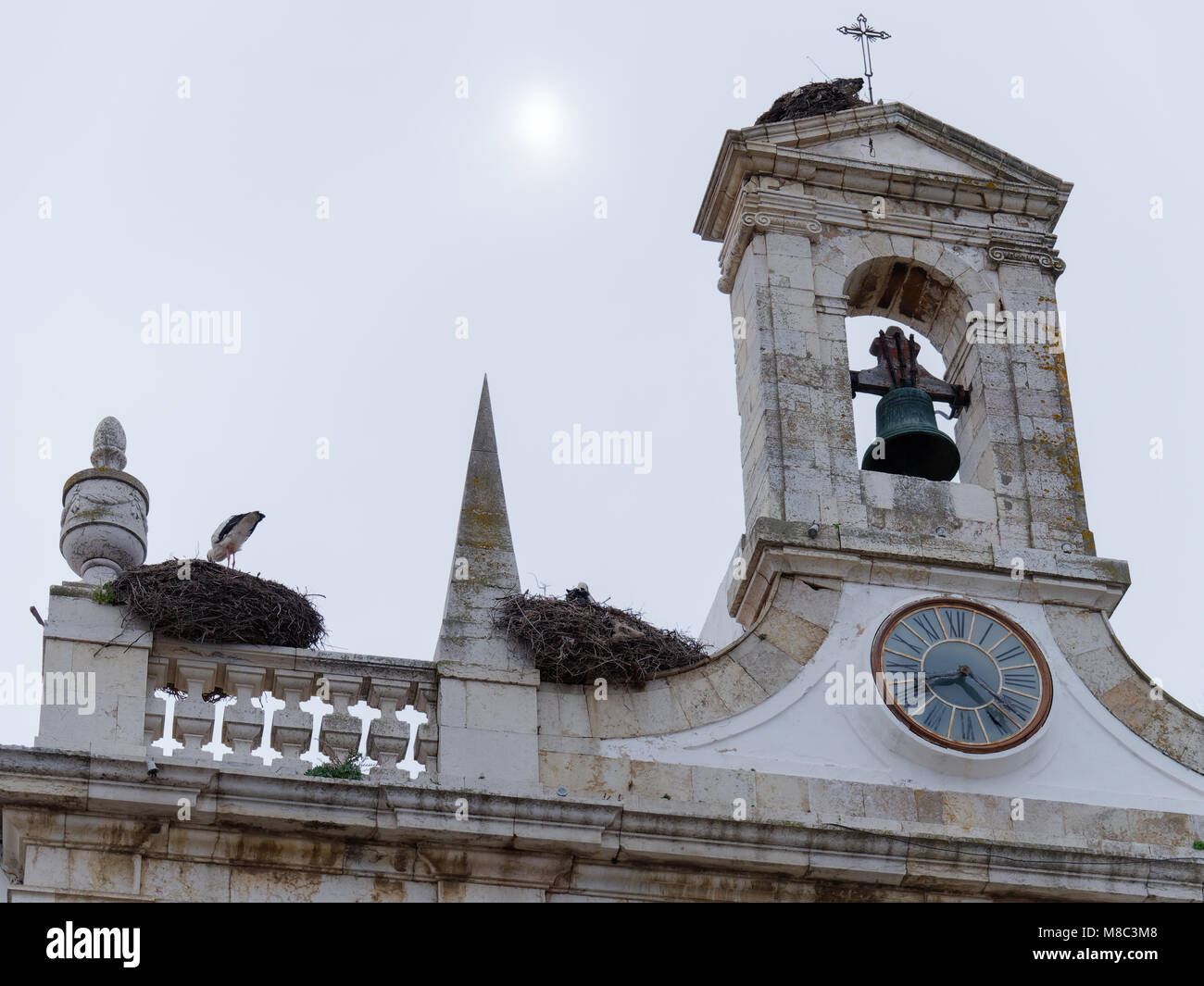 FARO, SOUTHERN ALGARVE/PORTUGAL - MARCH 7 : Storks at Faro in Portugal ...
