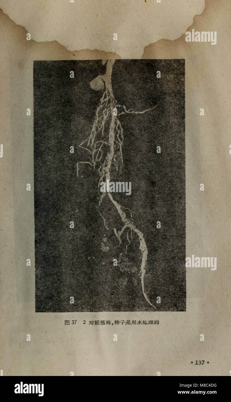 Dong zhi wu sheng huo zhong de wei liang yuan su he tian ran fang she ...