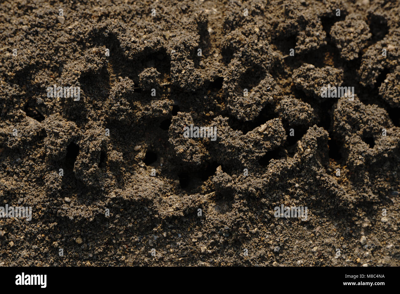 Cracked land texture Stock Photo - Alamy