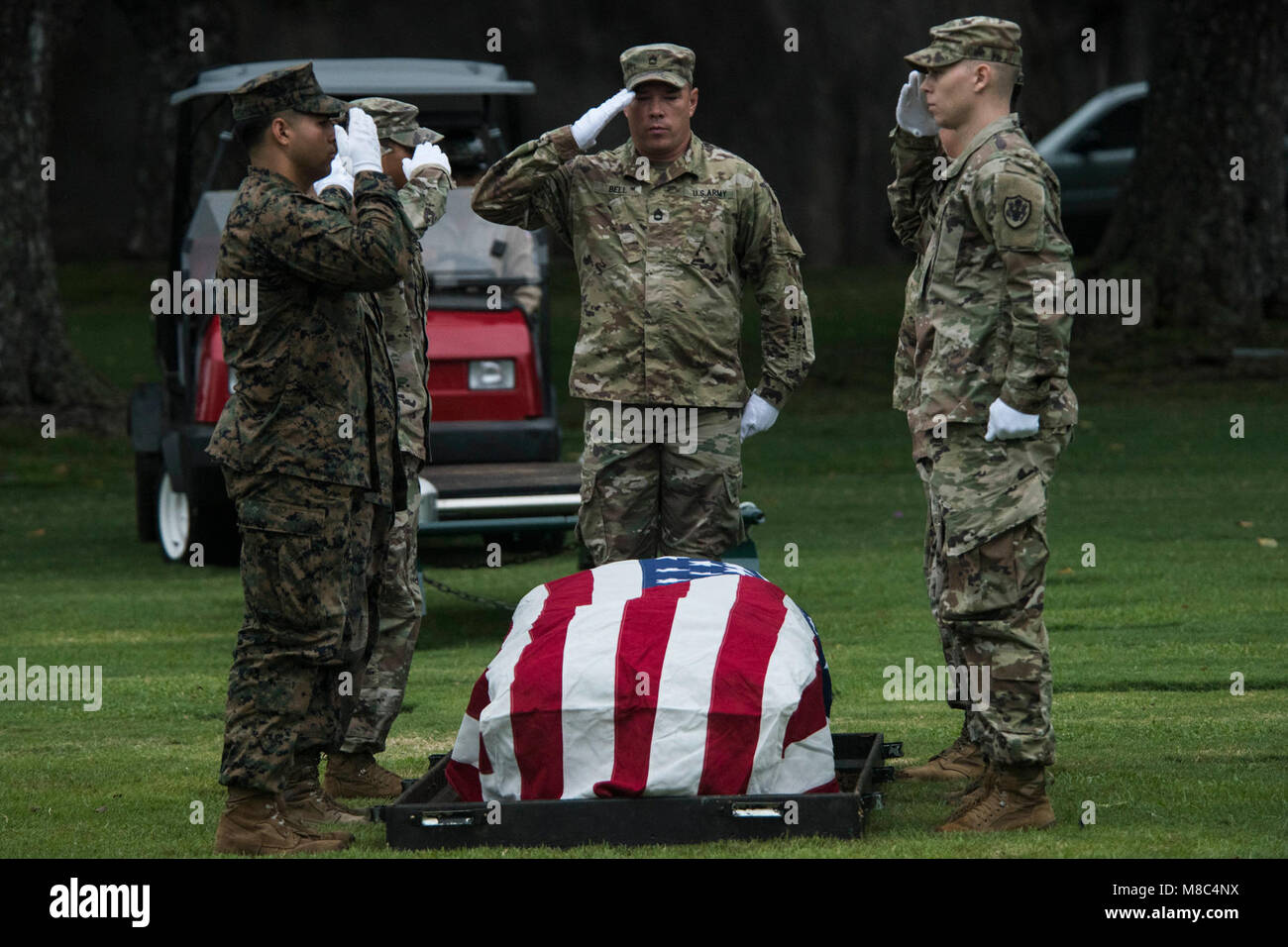 Defense POW/MIA Accounting Agency (DPAA) personnel render honors during ...