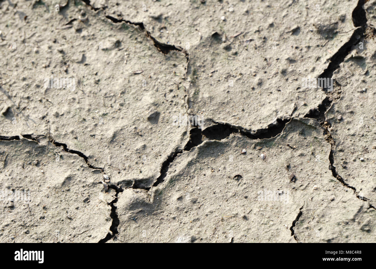 small Cracked ground textures Stock Photo - Alamy