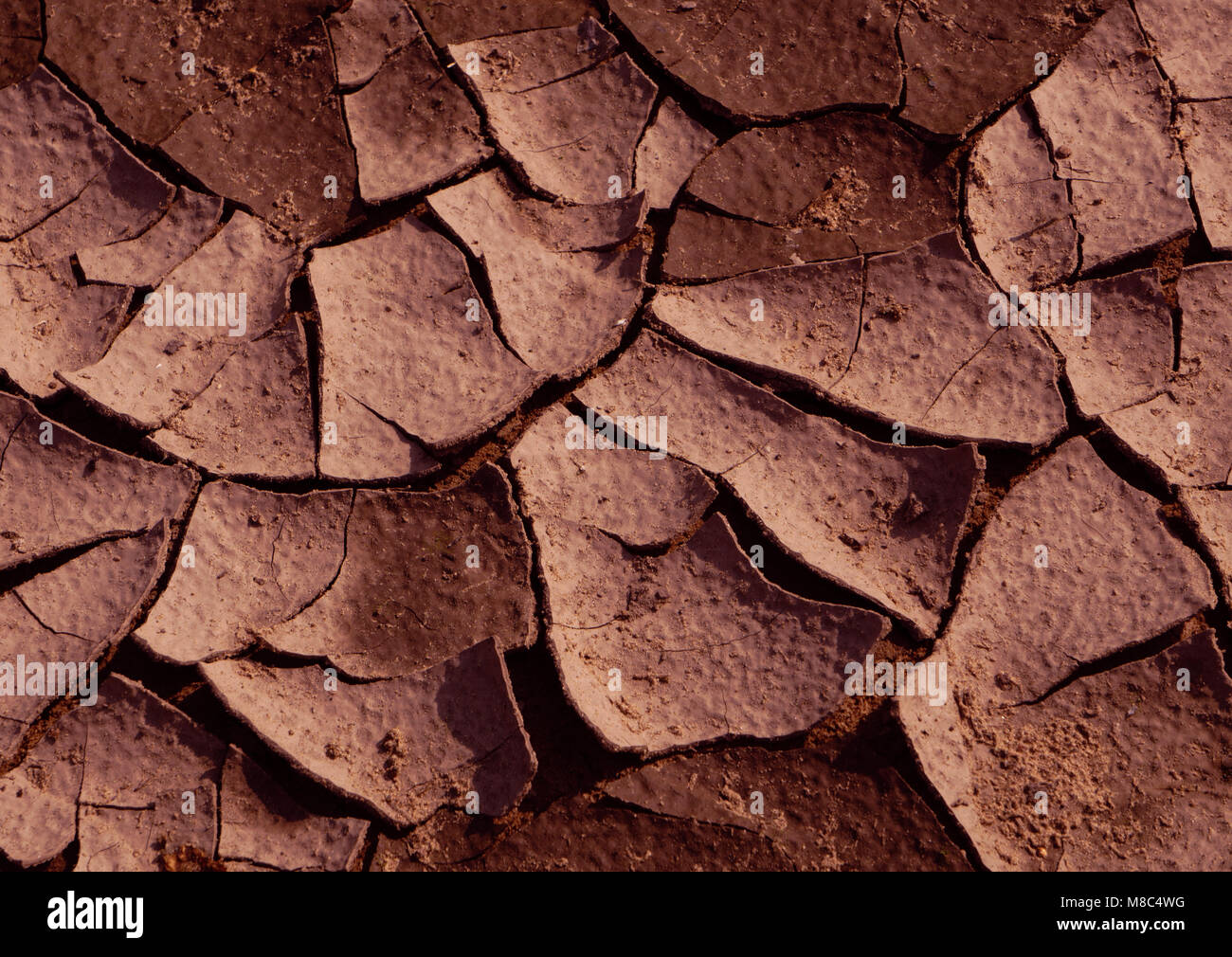 brown Cracked ground textures drought Stock Photo - Alamy
